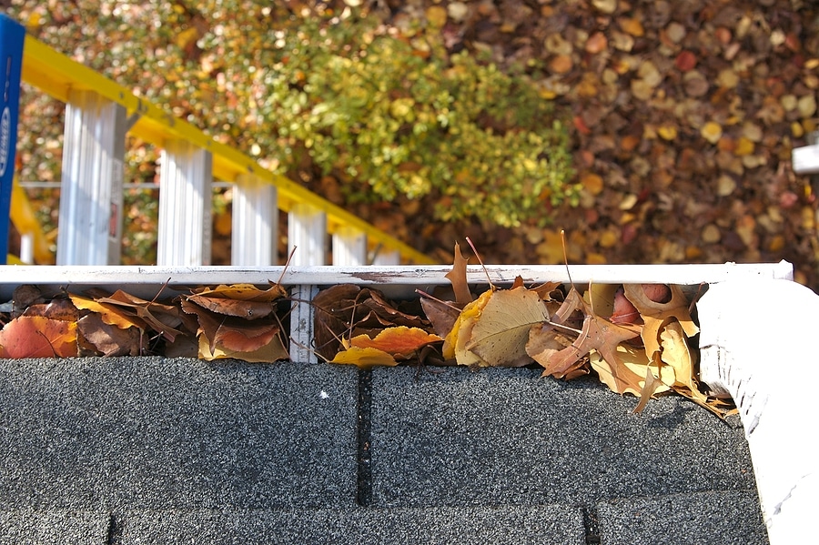 Fall Maintenance Checklist for Property Owners in the NYC Area